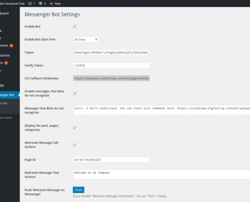 Facebook Messenger Chat With Bot Ninja Team